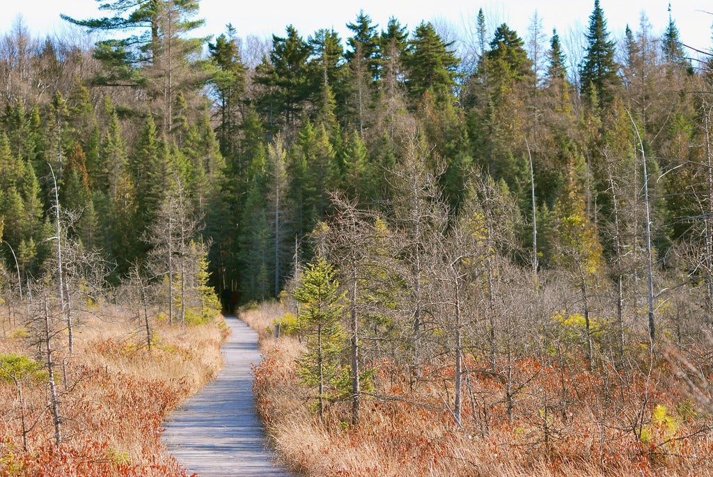 Forever wild: Exploring New York's huge Adirondack Park | Roadtrippers