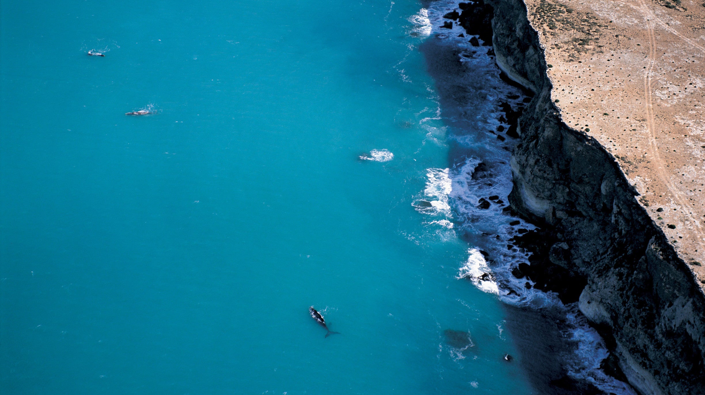 Head Of Bight, South Australia | Roadtrippers
