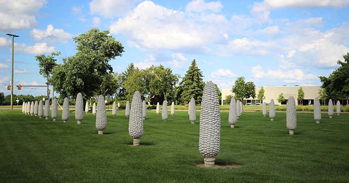 Field of Corn (with Osage Orange Trees), Dublin | Roadtrippers