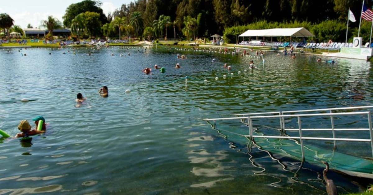 Spring-hopping around Florida with the family | Roadtrippers