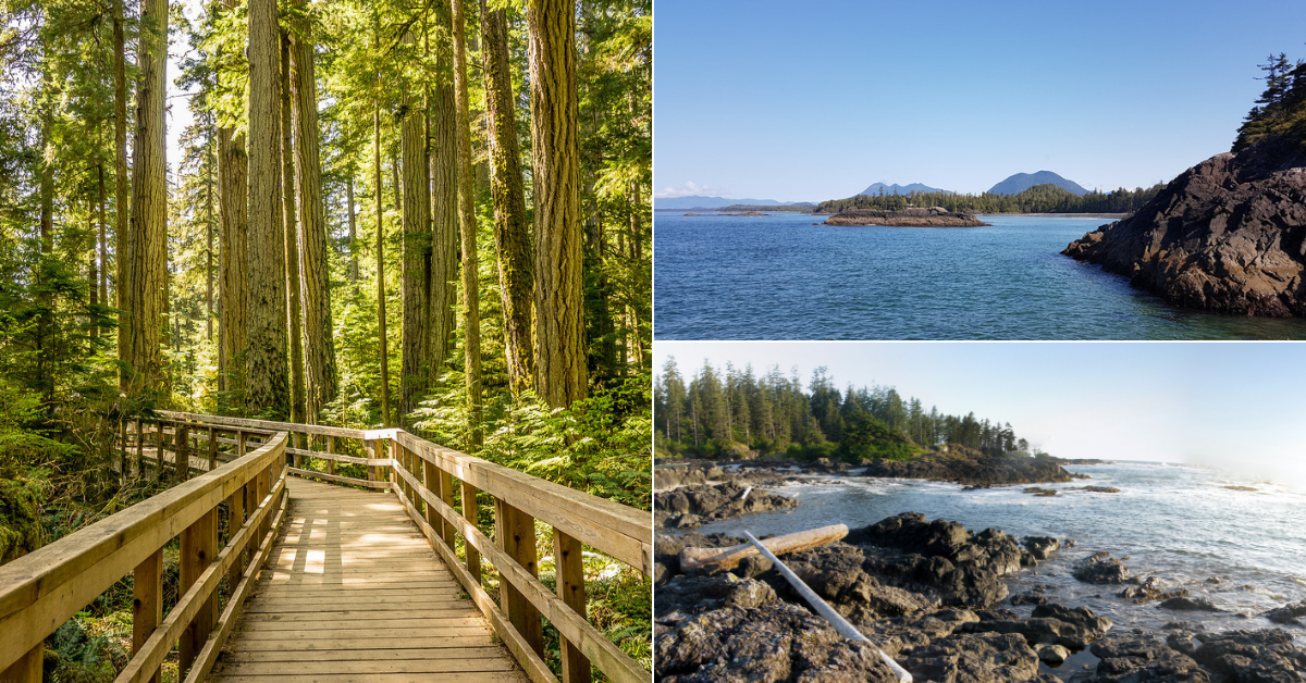 A cruise around the otherworldly Pacific Rim Highway | Roadtrippers