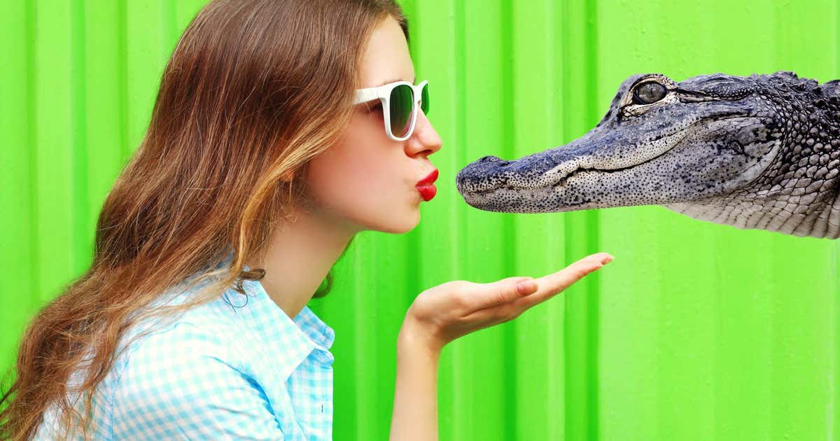 Are you brave enough to take on this epic gator guide? | Roadtrippers