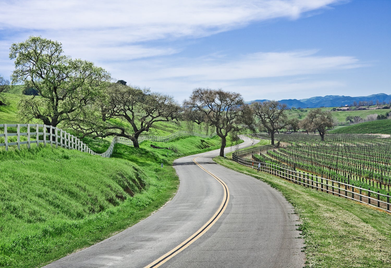 Sideways Road Trip Through Santa Barbara | Roadtrippers