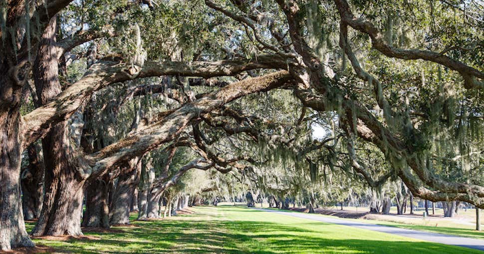 An Essential Mississippi Road Trip | Roadtrippers