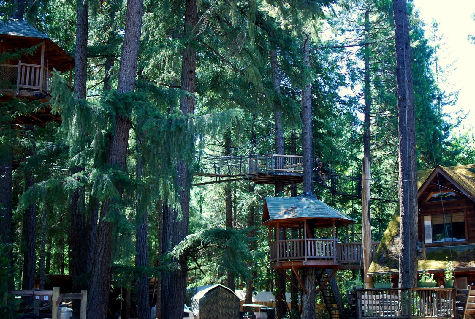 America's Best Treehouse Hotels | Roadtrippers