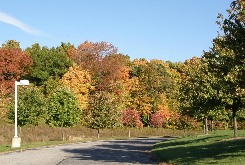 Exit Strategy: Make the most of I-65 from Indy to Chicago | Roadtrippers