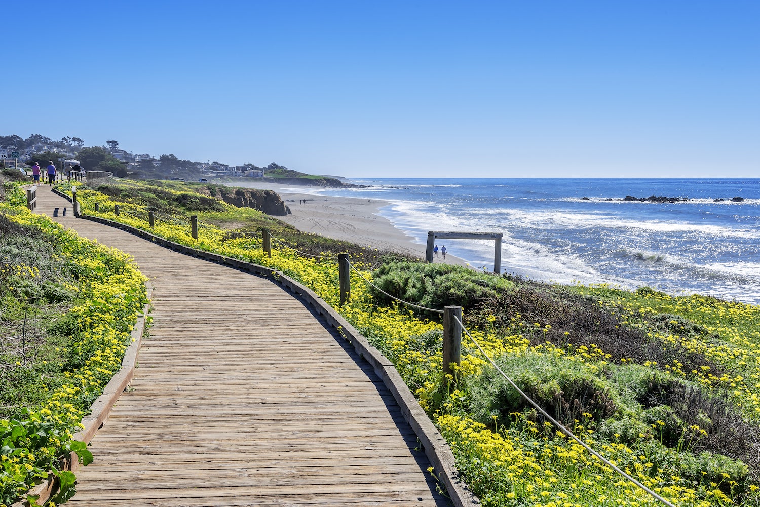 Welcome to Cambria: Where the pines meet the sea | Roadtrippers