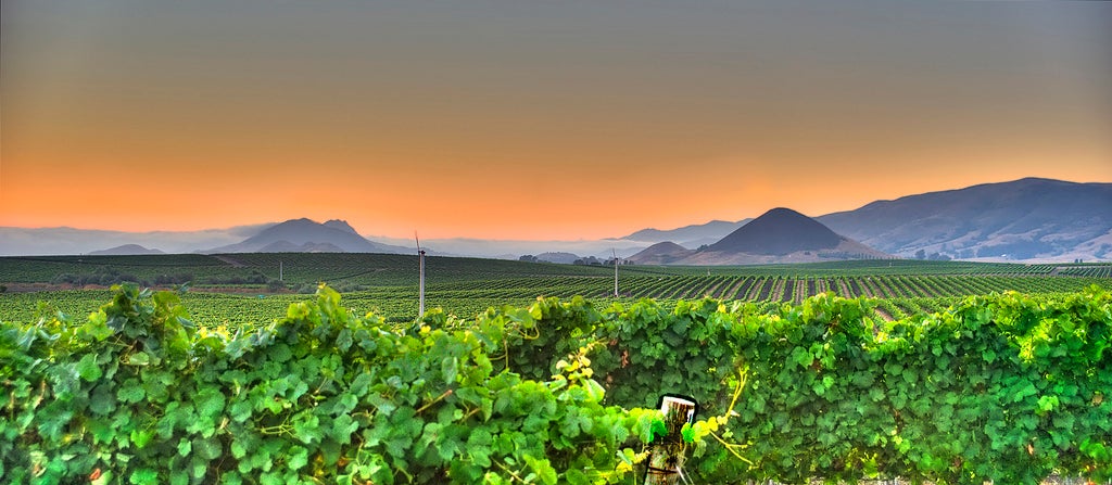 California's Edna Valley is America's answer to Tuscany | Roadtrippers