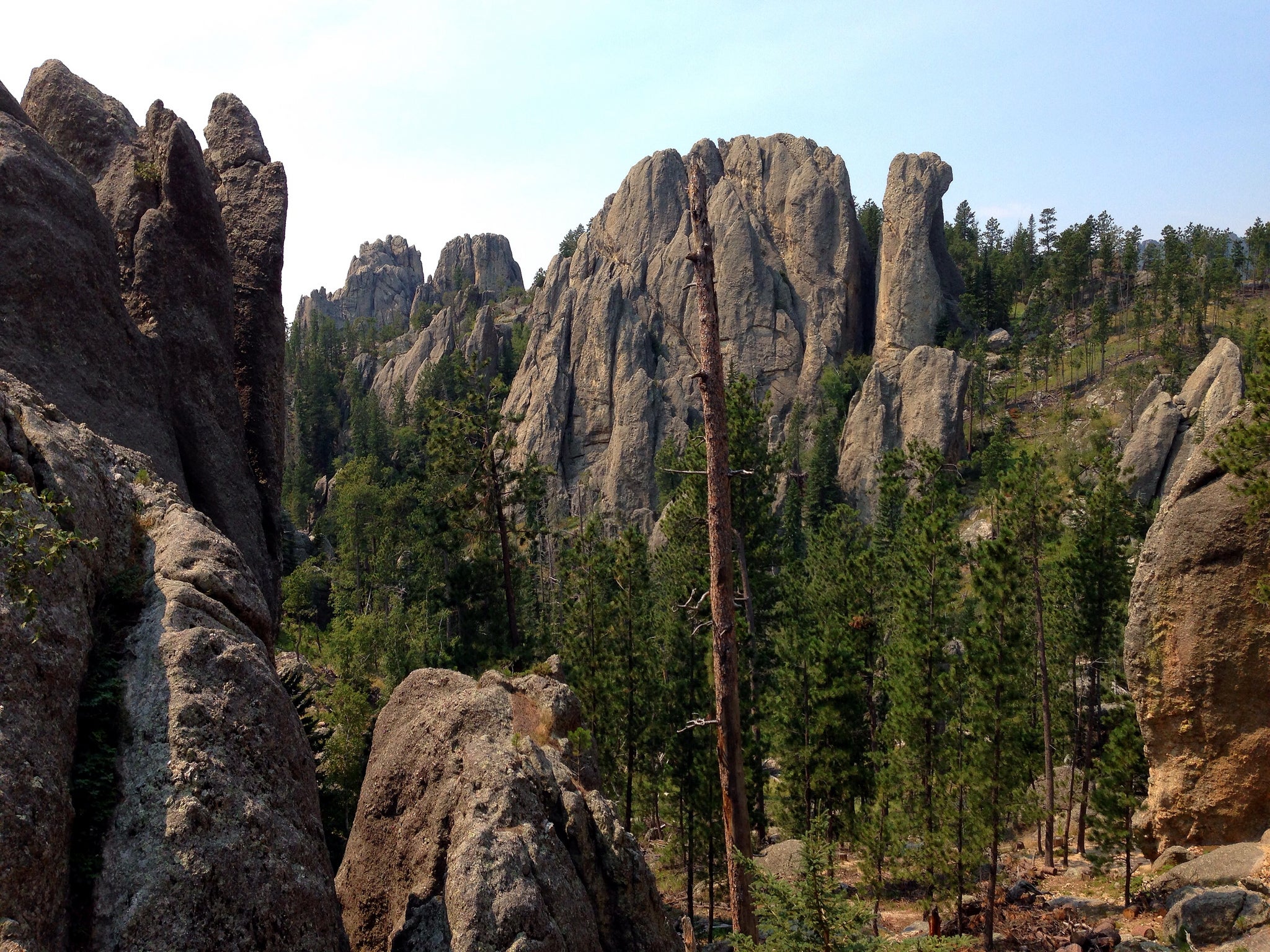 The iconic Needles Highway was thought impossible to build | Roadtrippers